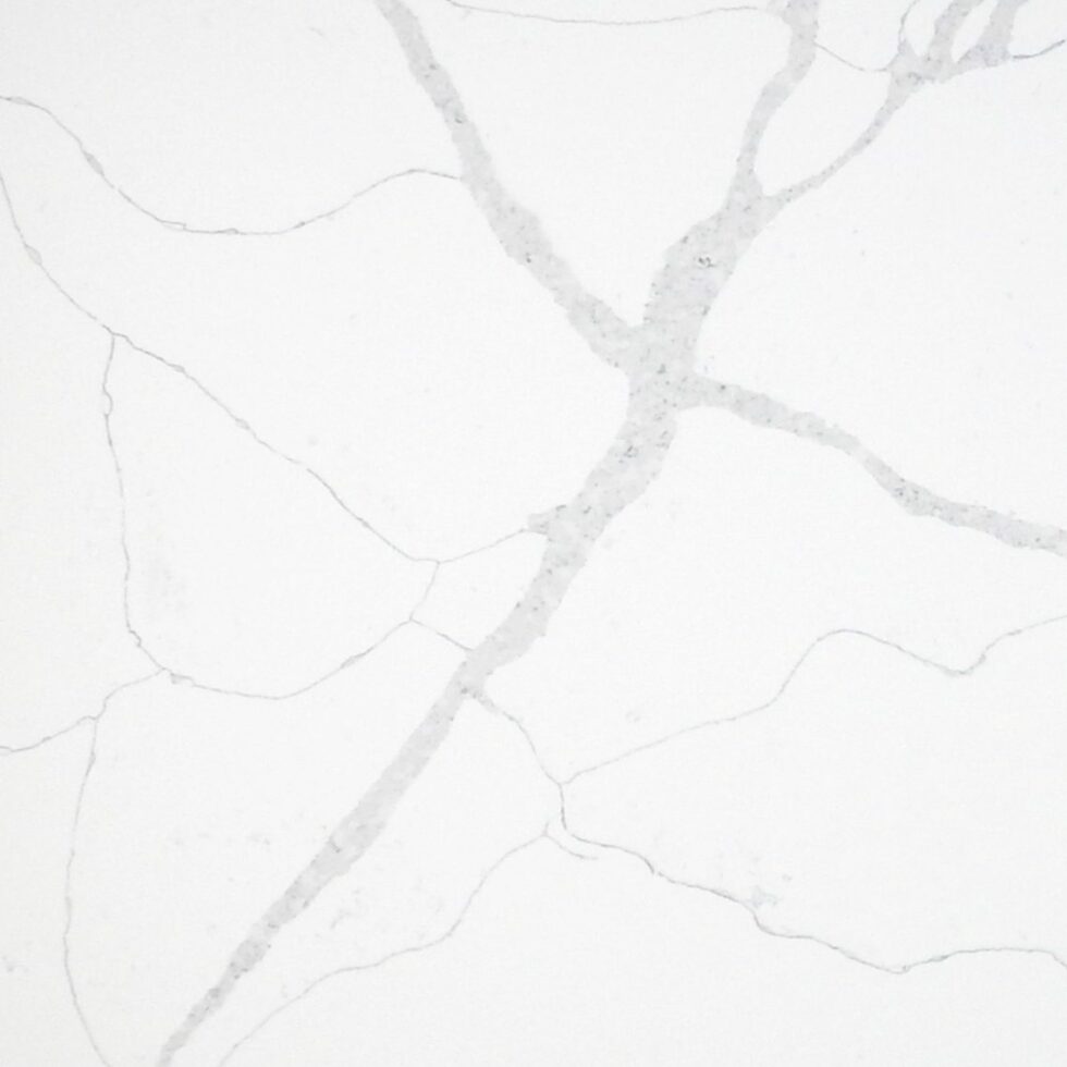 Statuario Roma 3cm - ENVI Quartz Countertops | Lakeside Surfaces
